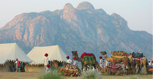 Ecoturismo en India | el próximo viaje